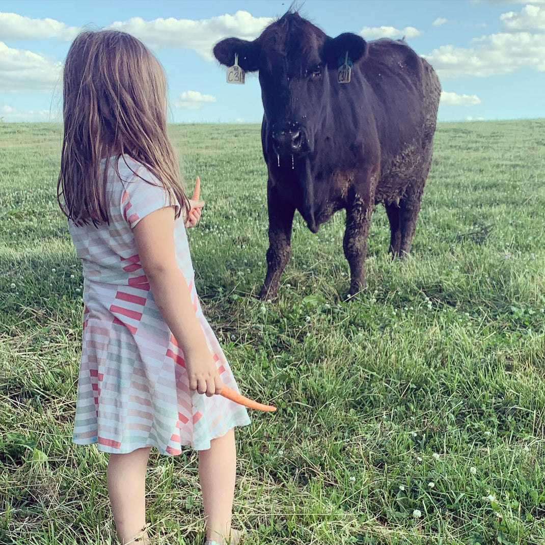 Robin Ridge Farms Home